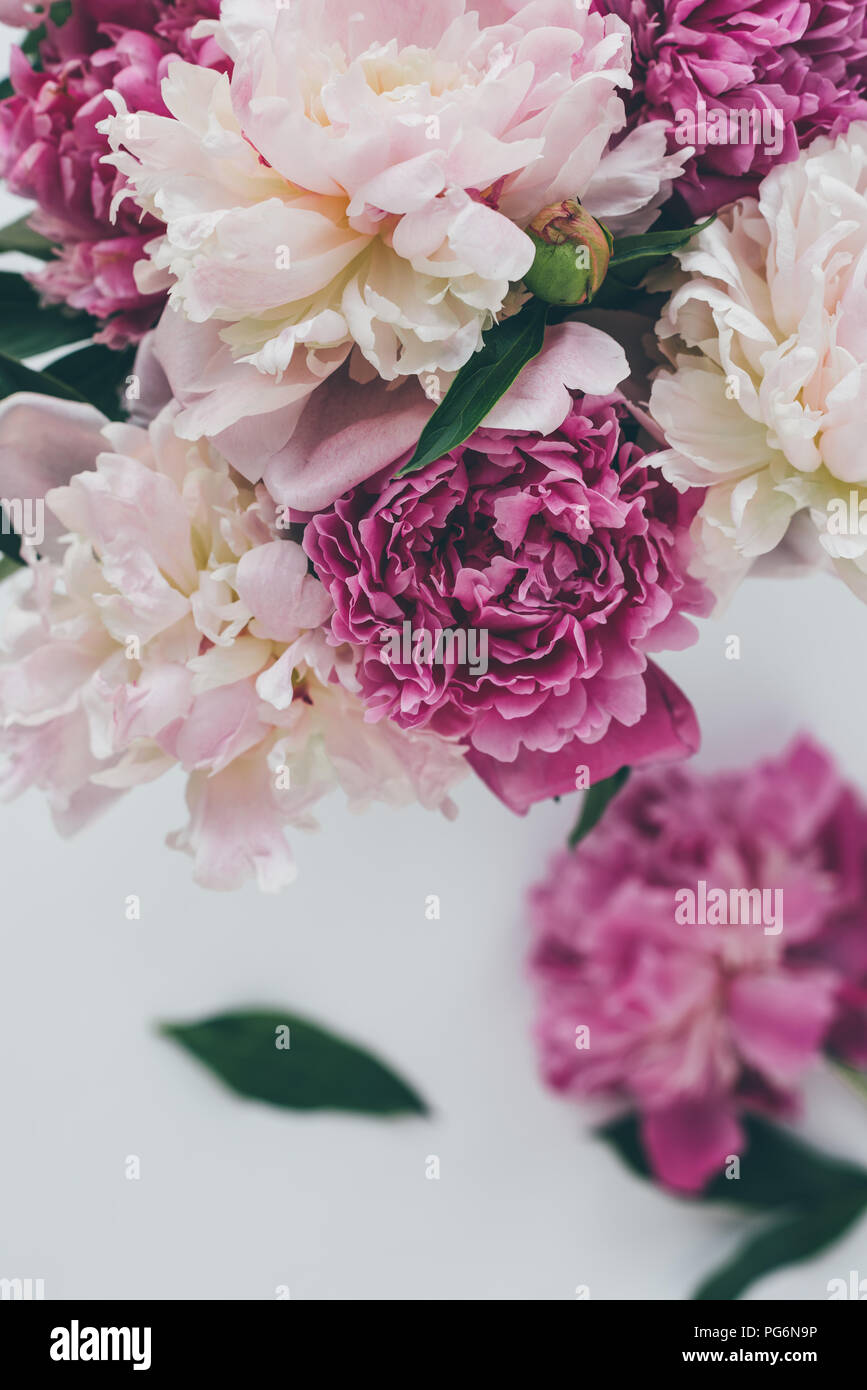 top view of light pink peony bouquet on white Stock Photo - Alamy
