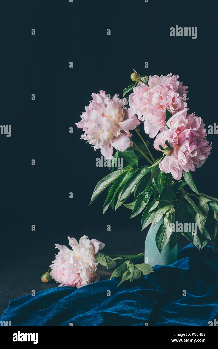 Light pink peonies hi-res stock photography and images - Alamy