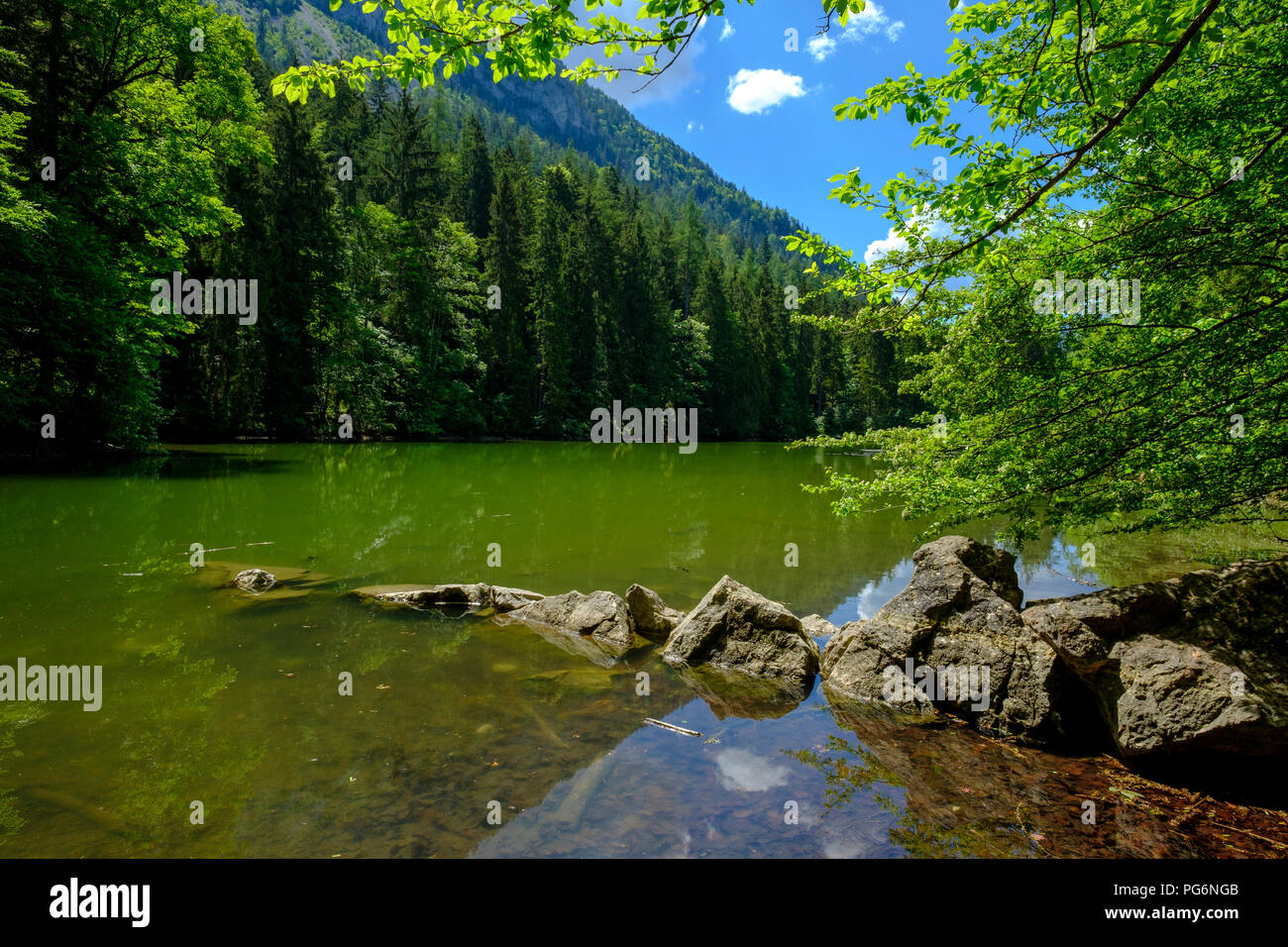 Germany, Bavaria, Upper Bavaria, Ruhpolding, Chiemgau, Taubensee Stock ...