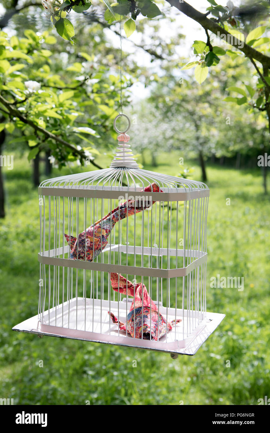 Origami cois cage hi-res stock photography and images - Alamy