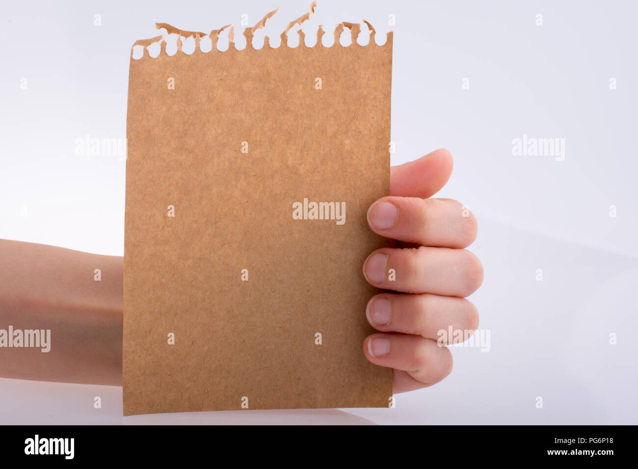 Hand holding a sheet of paper on a white background Stock Photo - Alamy