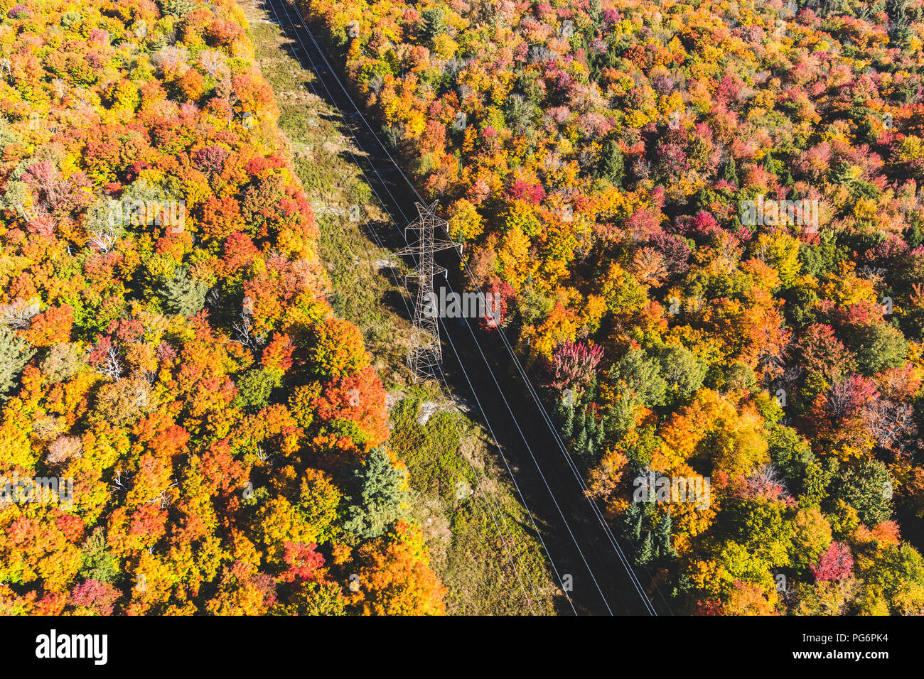Canada, Ontario, electricity pylons and wires through the trees in ...