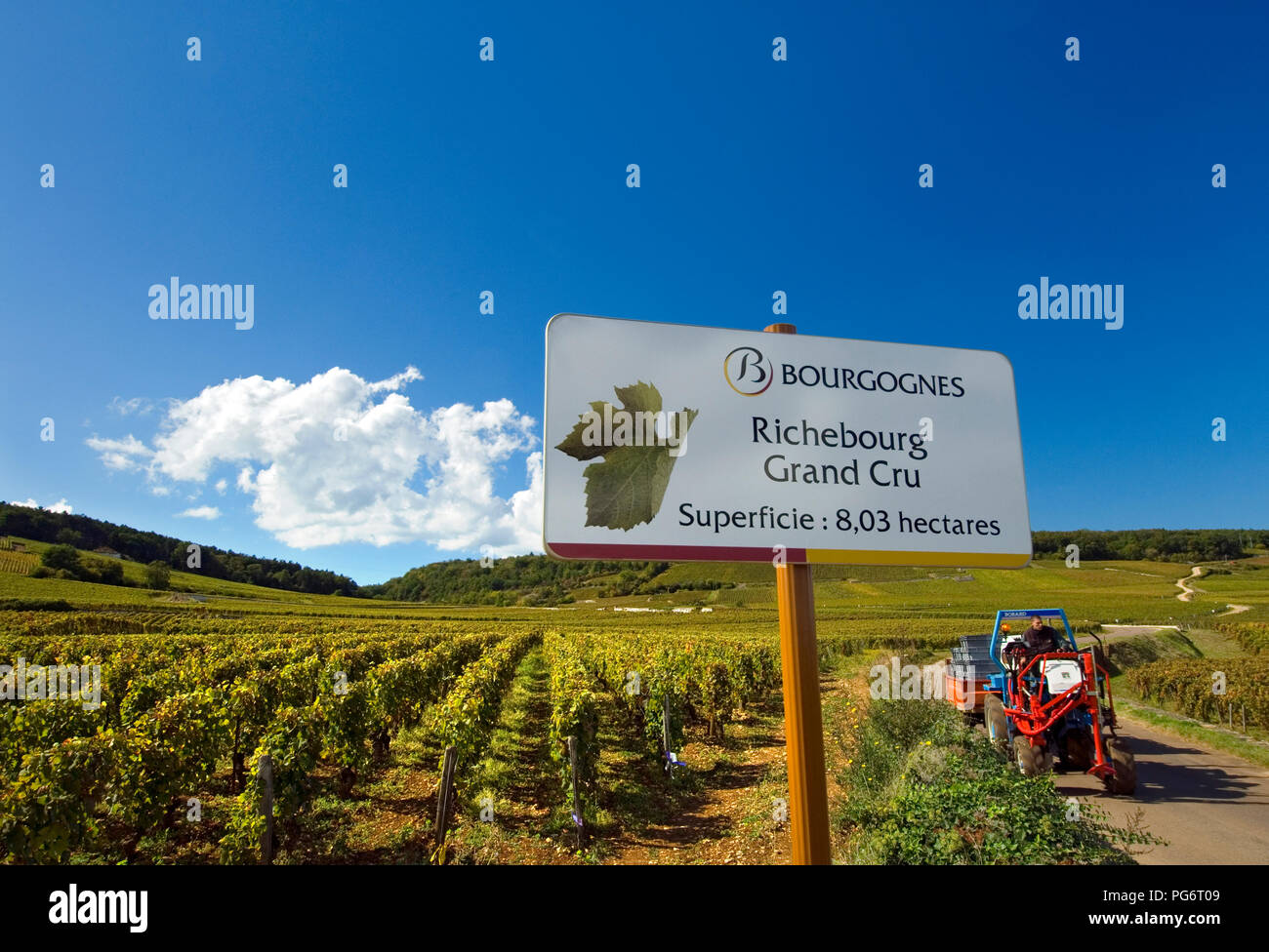 Richebourg Grand Cru Pinot Noir red wine vineyard sign of Domaine ...