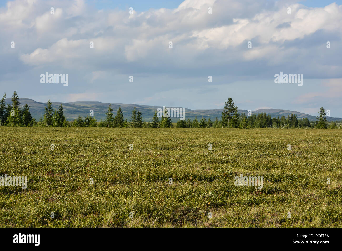 Foothill tundra. Natural Park of the Polar Urals in Russia Stock Photo ...