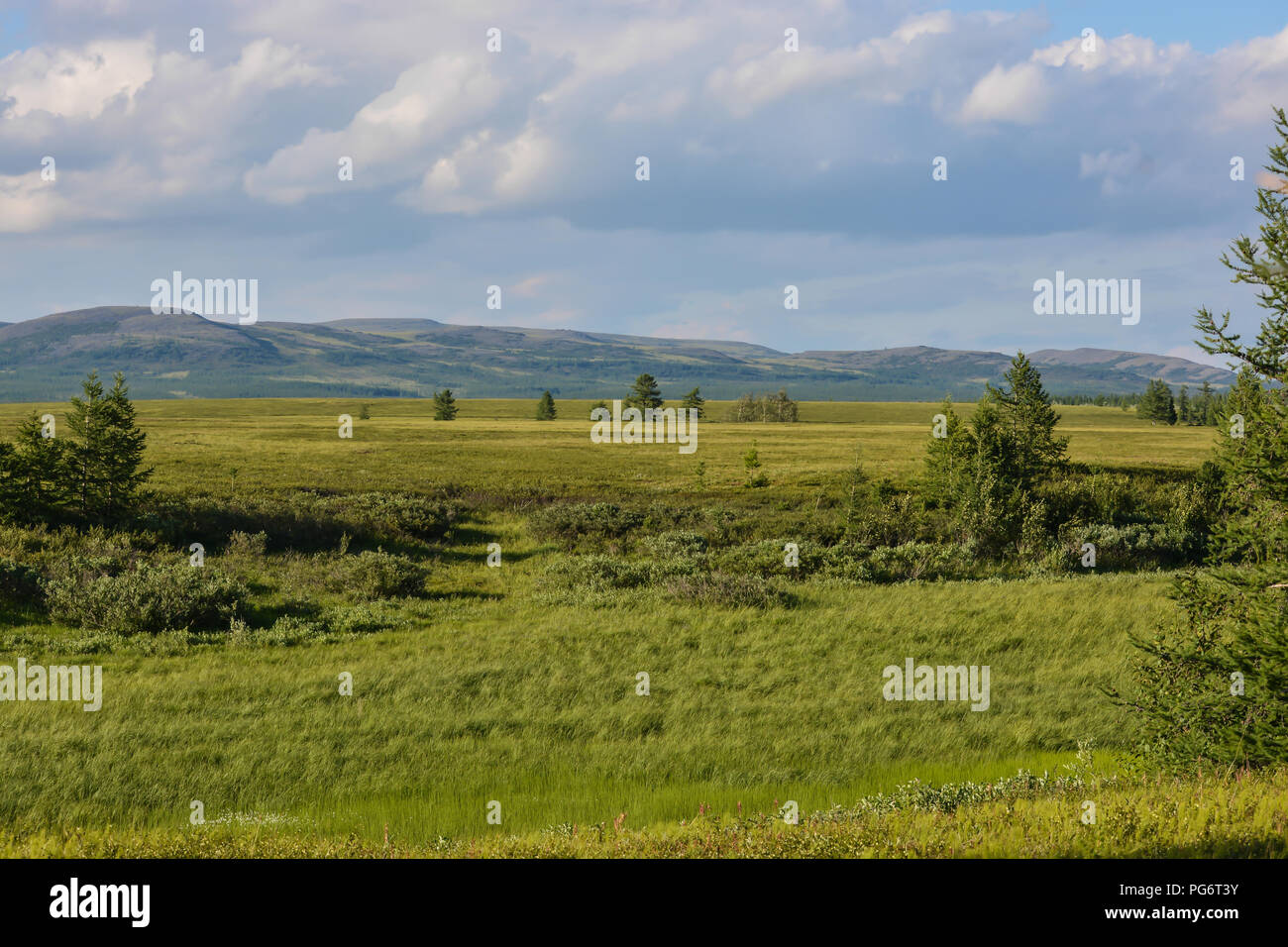 Foothill tundra. Natural Park of the Polar Urals in Russia Stock Photo ...