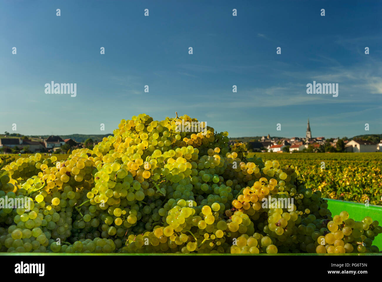 Meursault village hi-res stock photography and images - Alamy