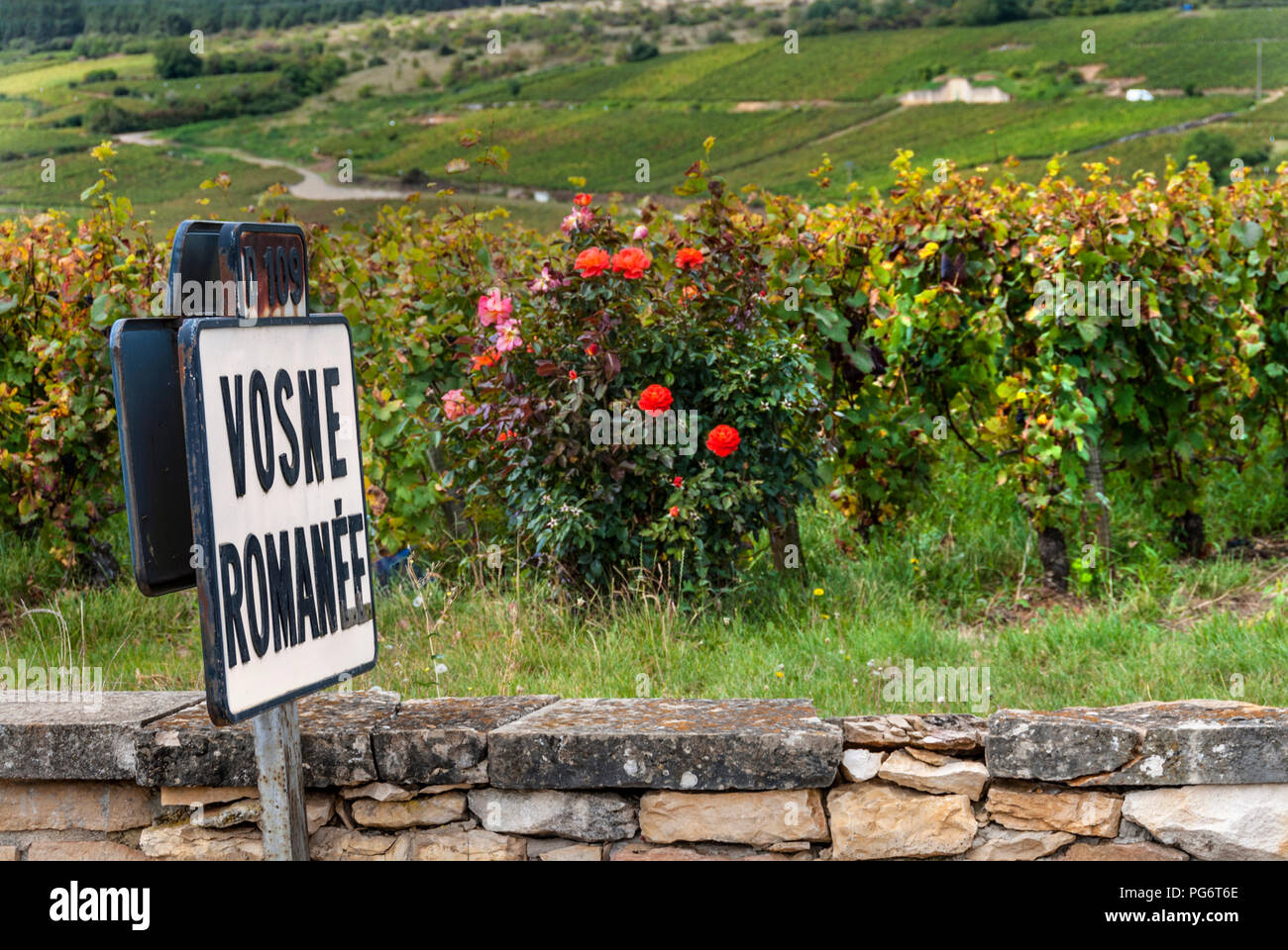 Vosne Romanee Stock Photos & Vosne Romanee Stock Images - Alamy