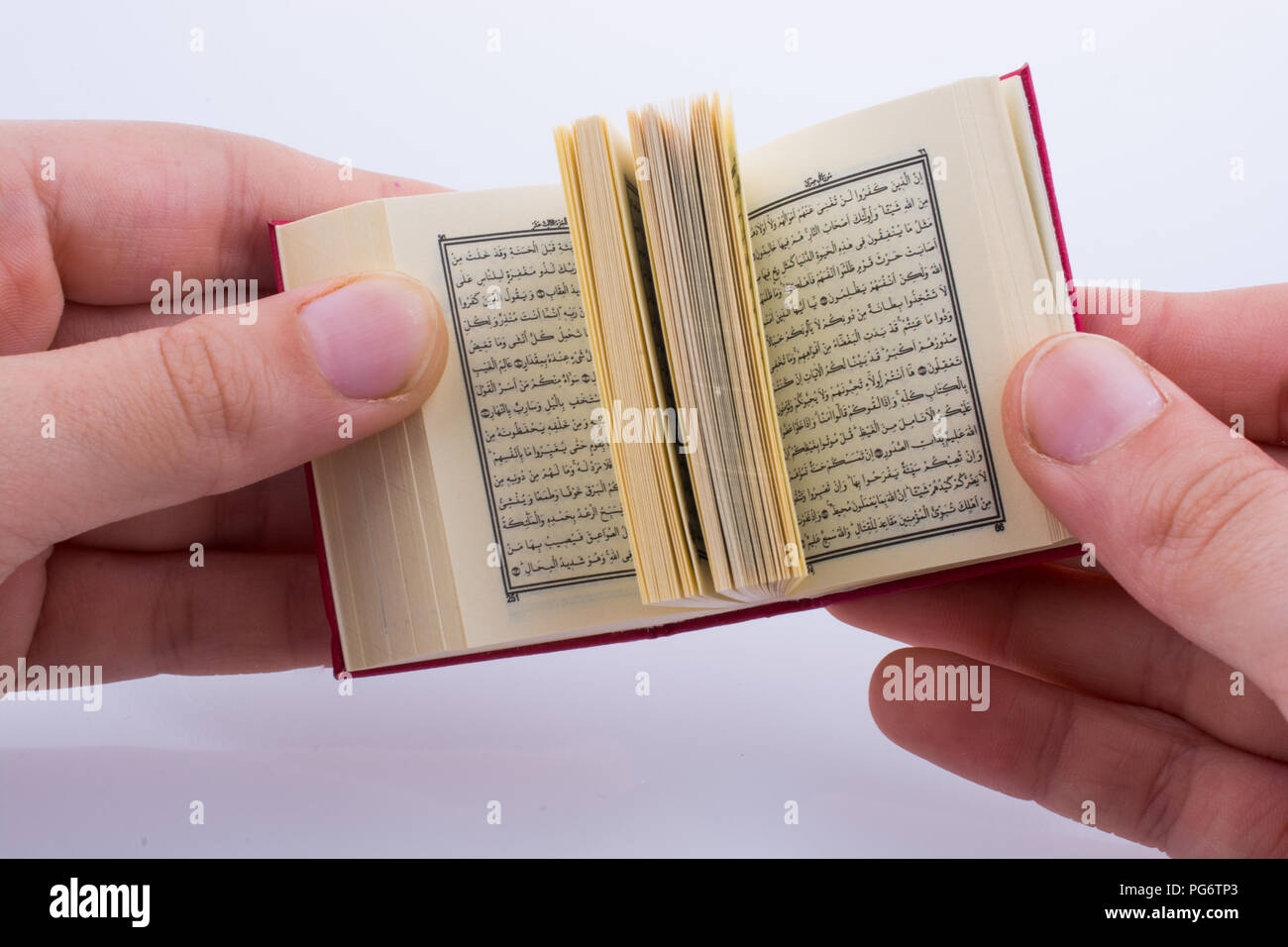 Hand holding The Holy Quran on a white background Stock Photo - Alamy