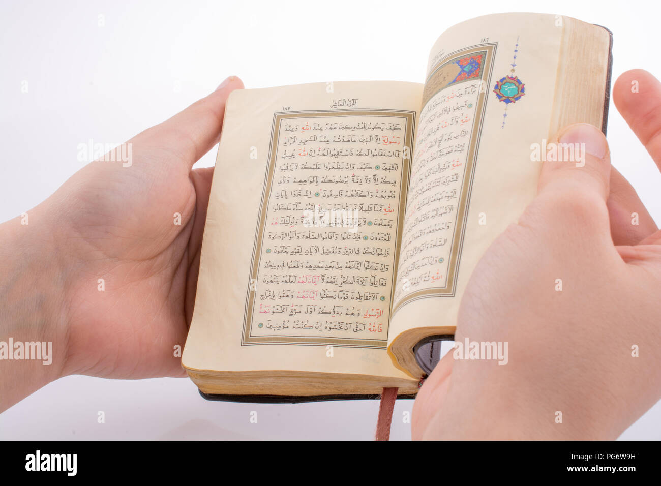 Hand holding The Holy Quran on a white background Stock Photo - Alamy