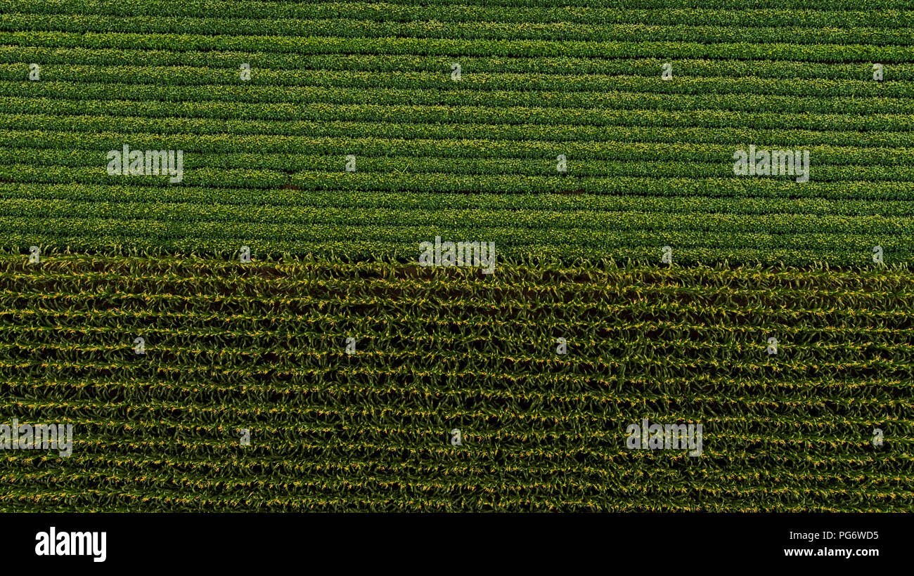 Crops aerial hi-res stock photography and images - Alamy