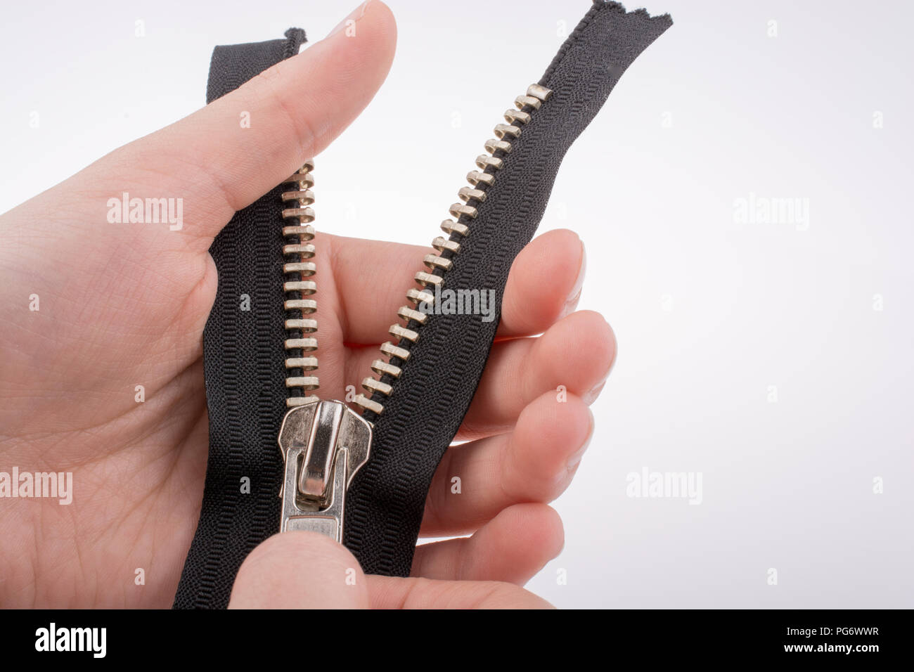 Hand holding color zipper on a white background Stock Photo - Alamy