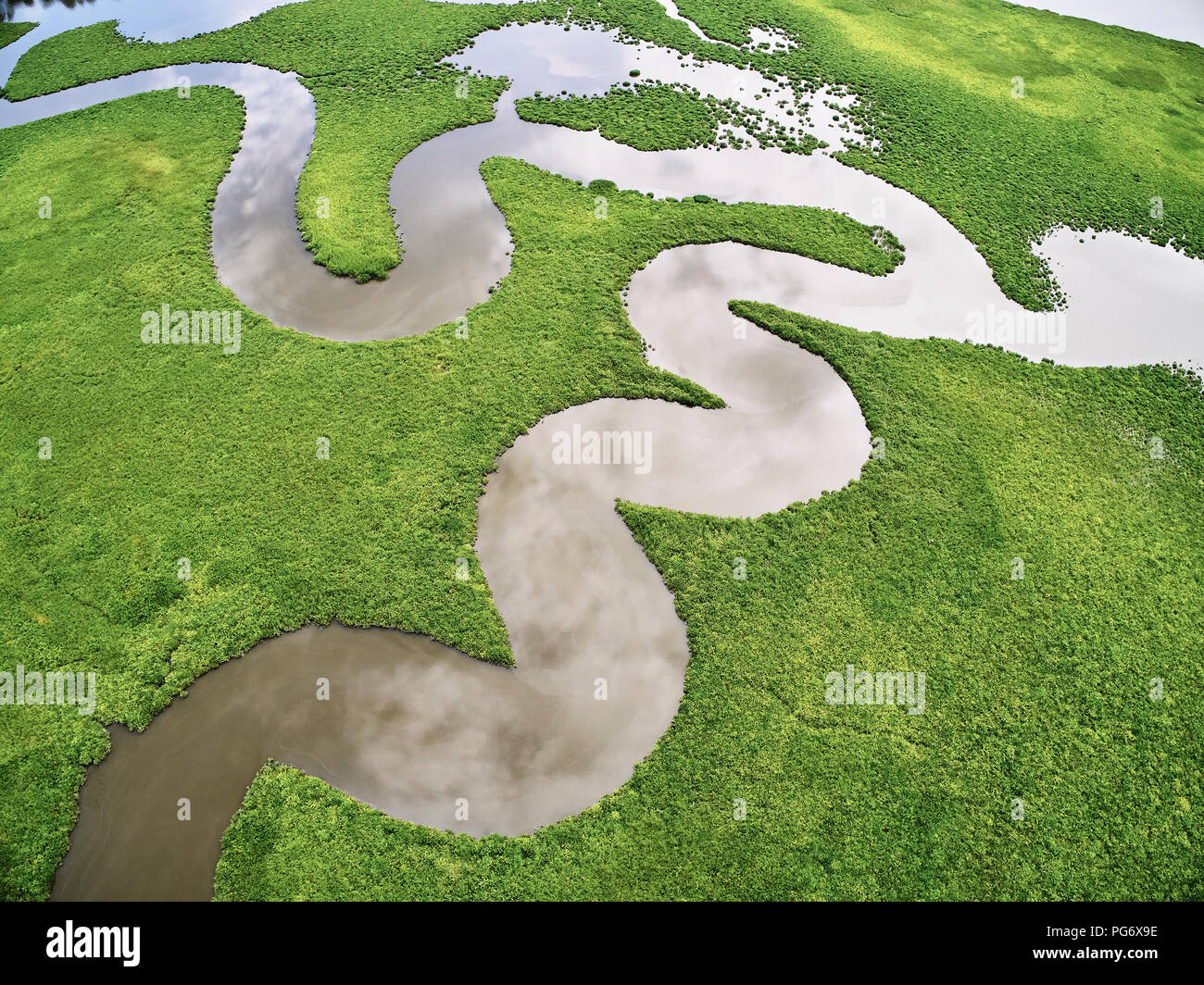 USA, Virginia, Marshes of the Chickahominy River Stock Photo - Alamy