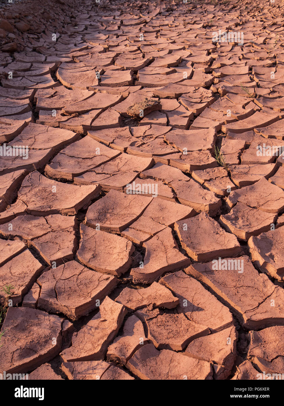 Dried mud beside Range Creek, Gray Canyon north of Green River, Utah ...