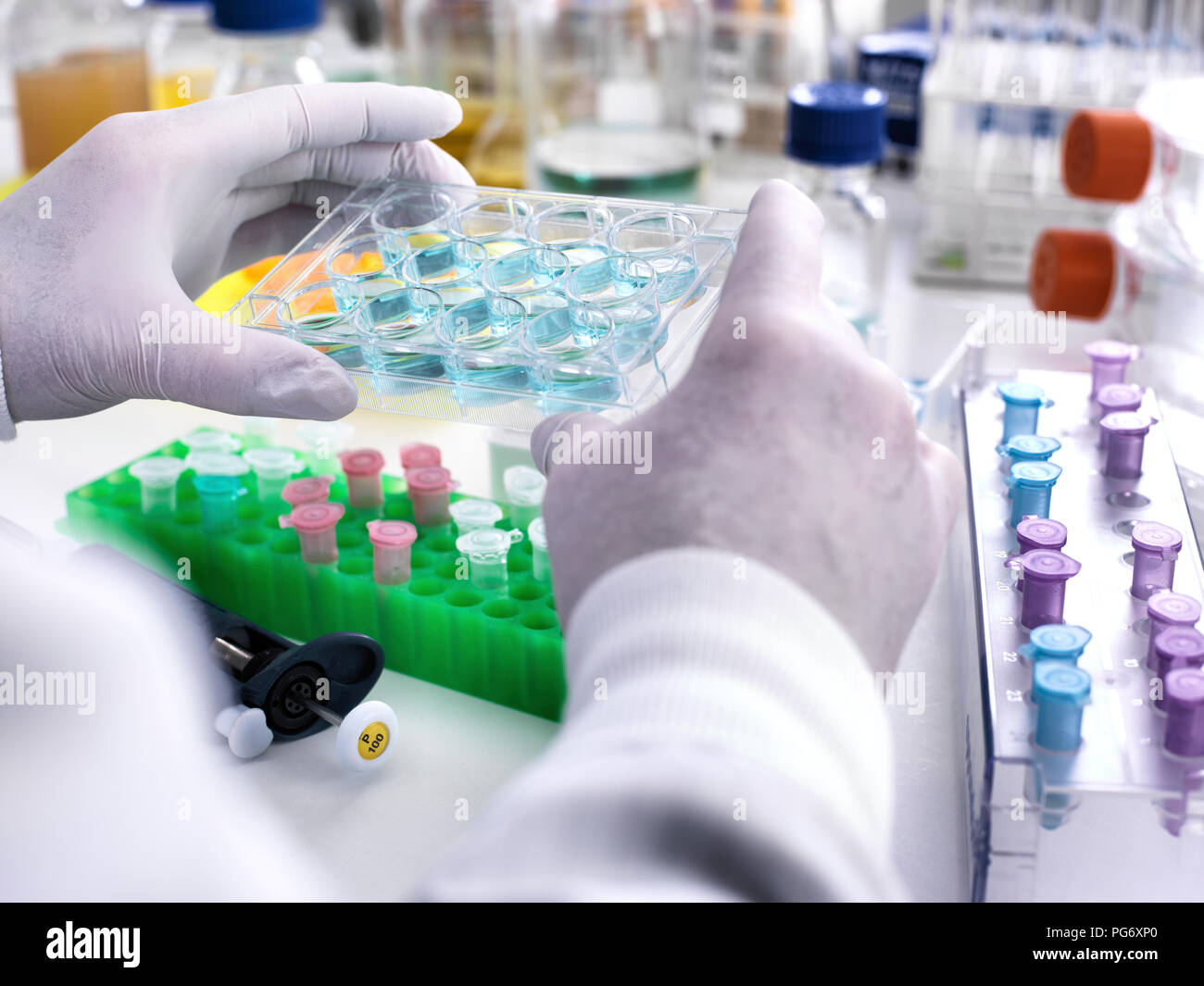 Images Lab Bagging Specimens