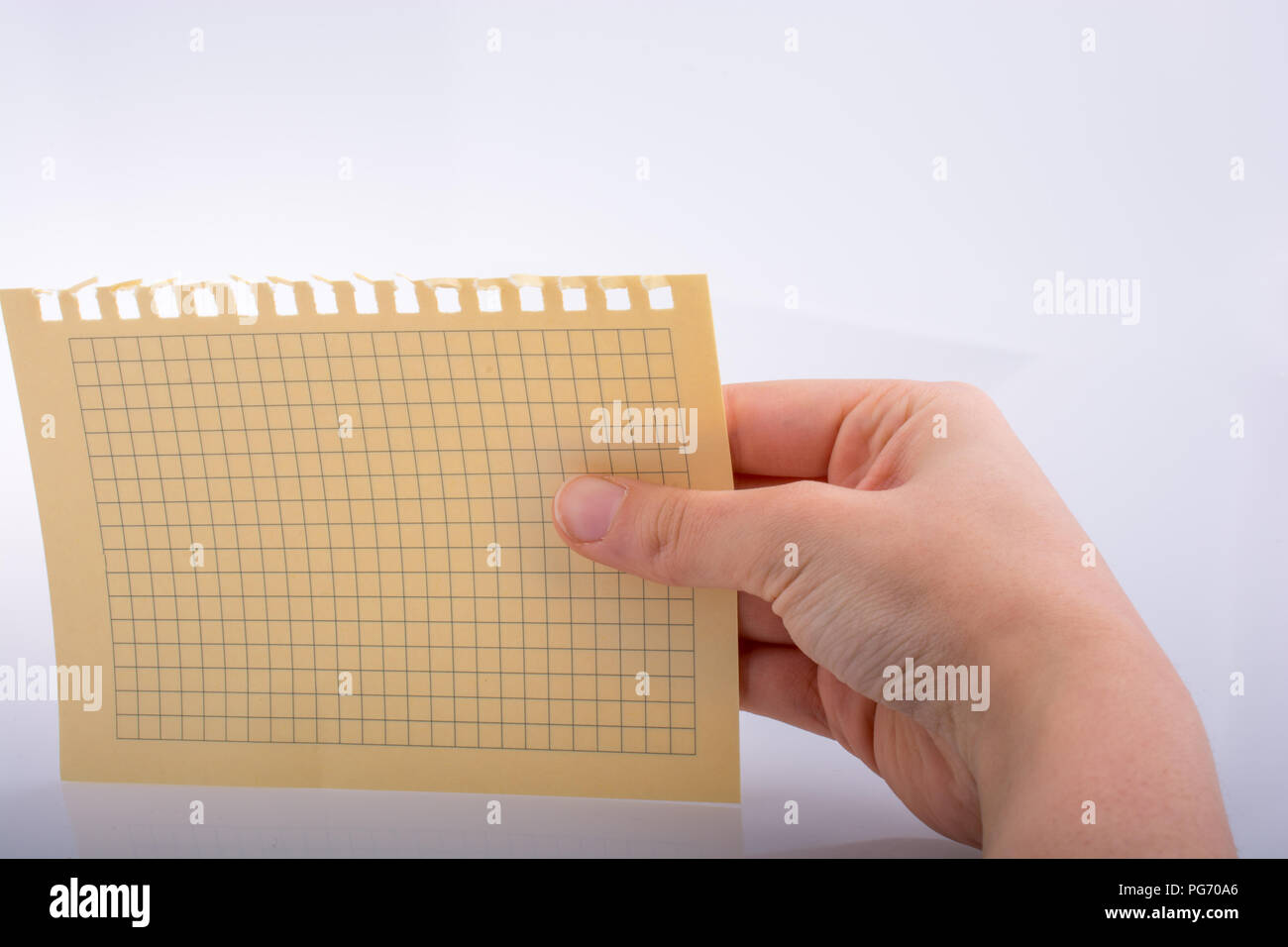 Hand holding a sheet of checked paper on a white background Stock Photo ...