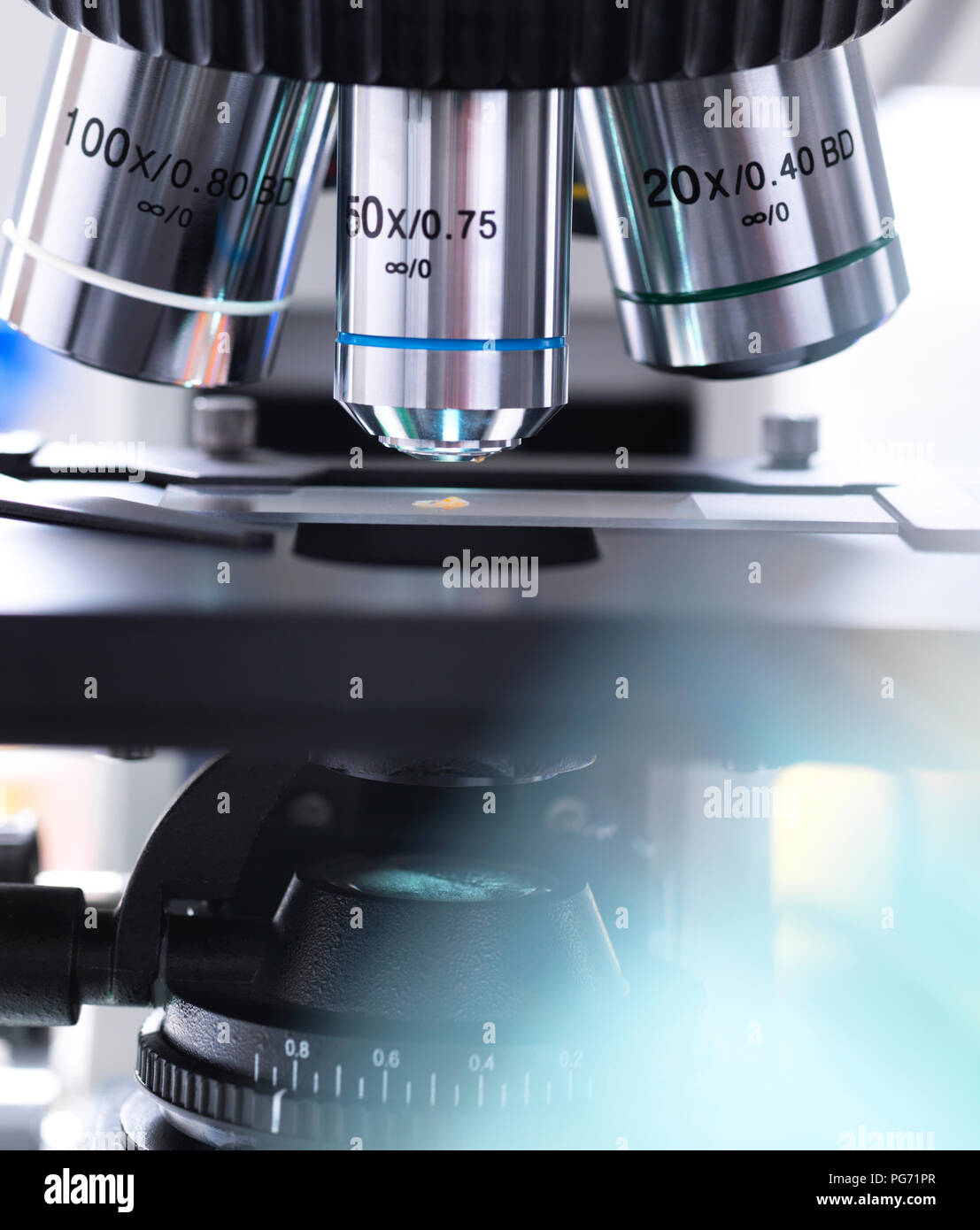 Biomedical Research, close-up of a glass slide holding a specimen of ...