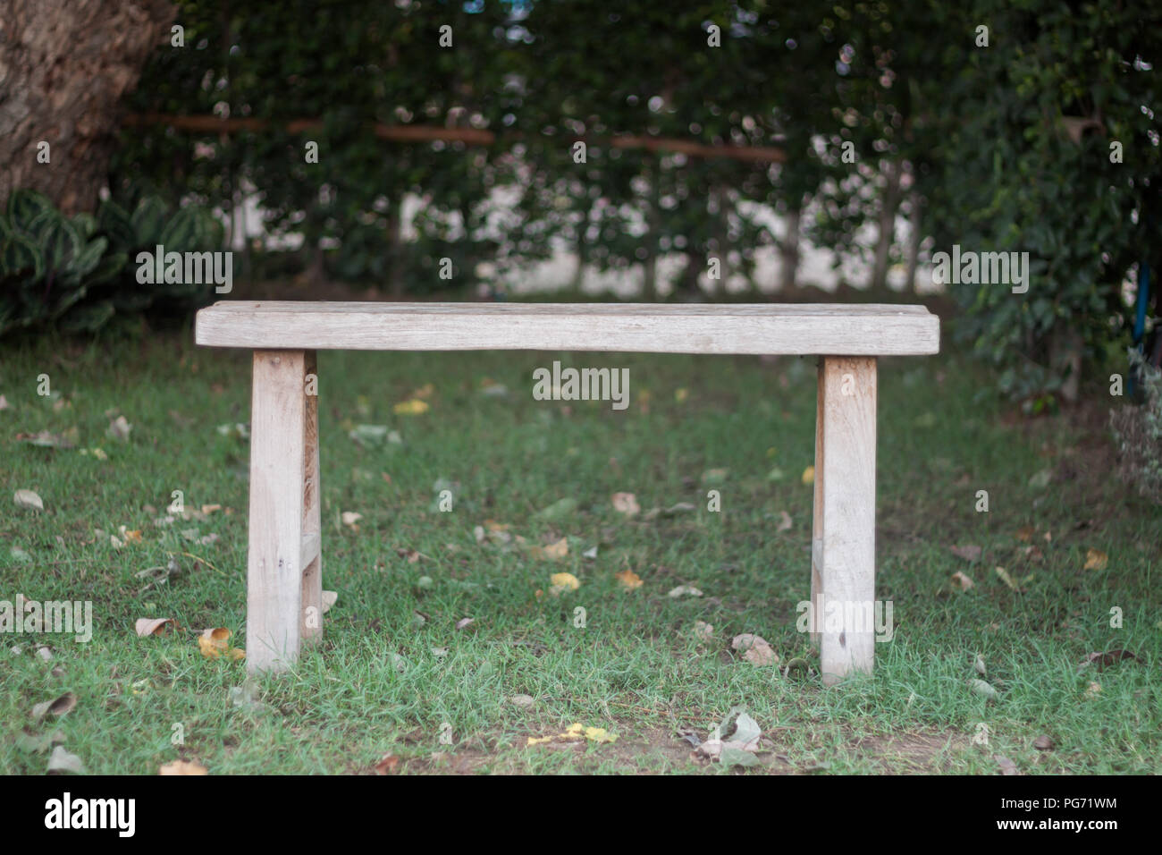 Wooden bench in the park, stock photo Stock Photo - Alamy