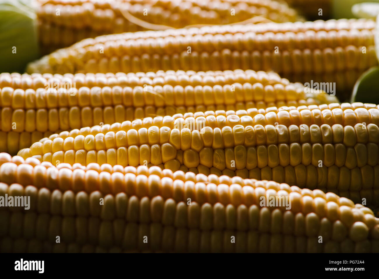 close up view of raw corn cobs as background Stock Photo - Alamy