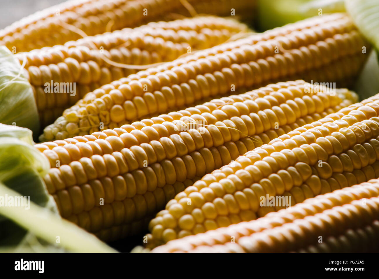 close up view of raw corn cobs as background Stock Photo - Alamy