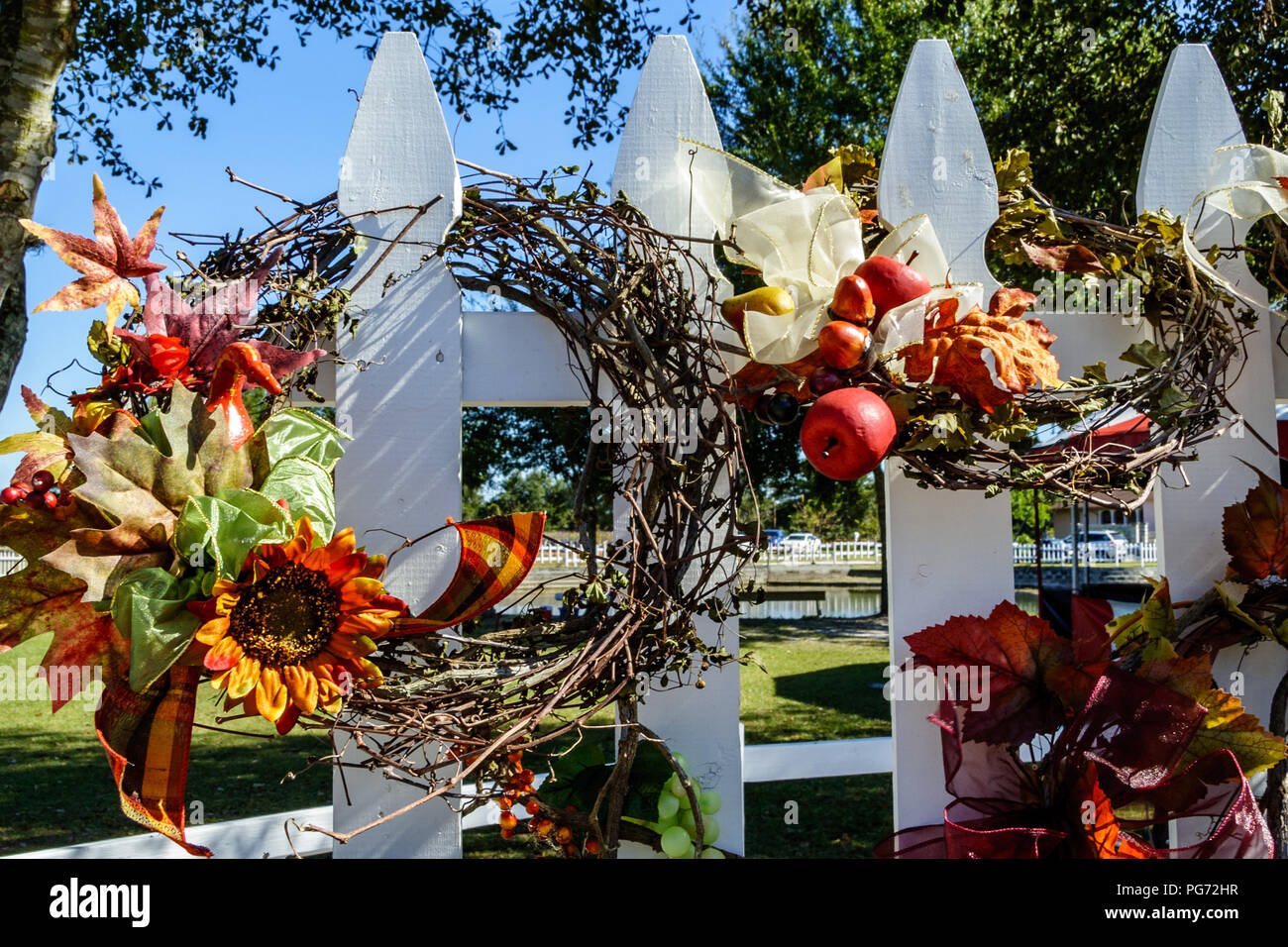 Vine Wreath High Resolution Stock Photography and Images - Alamy
