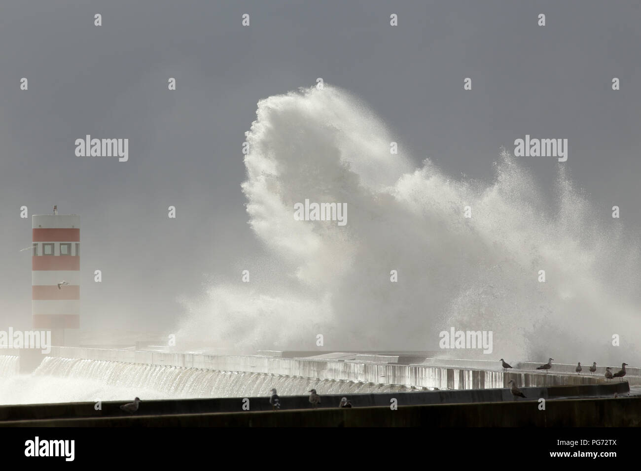 Fog coming in over ocean hi-res stock photography and images - Alamy