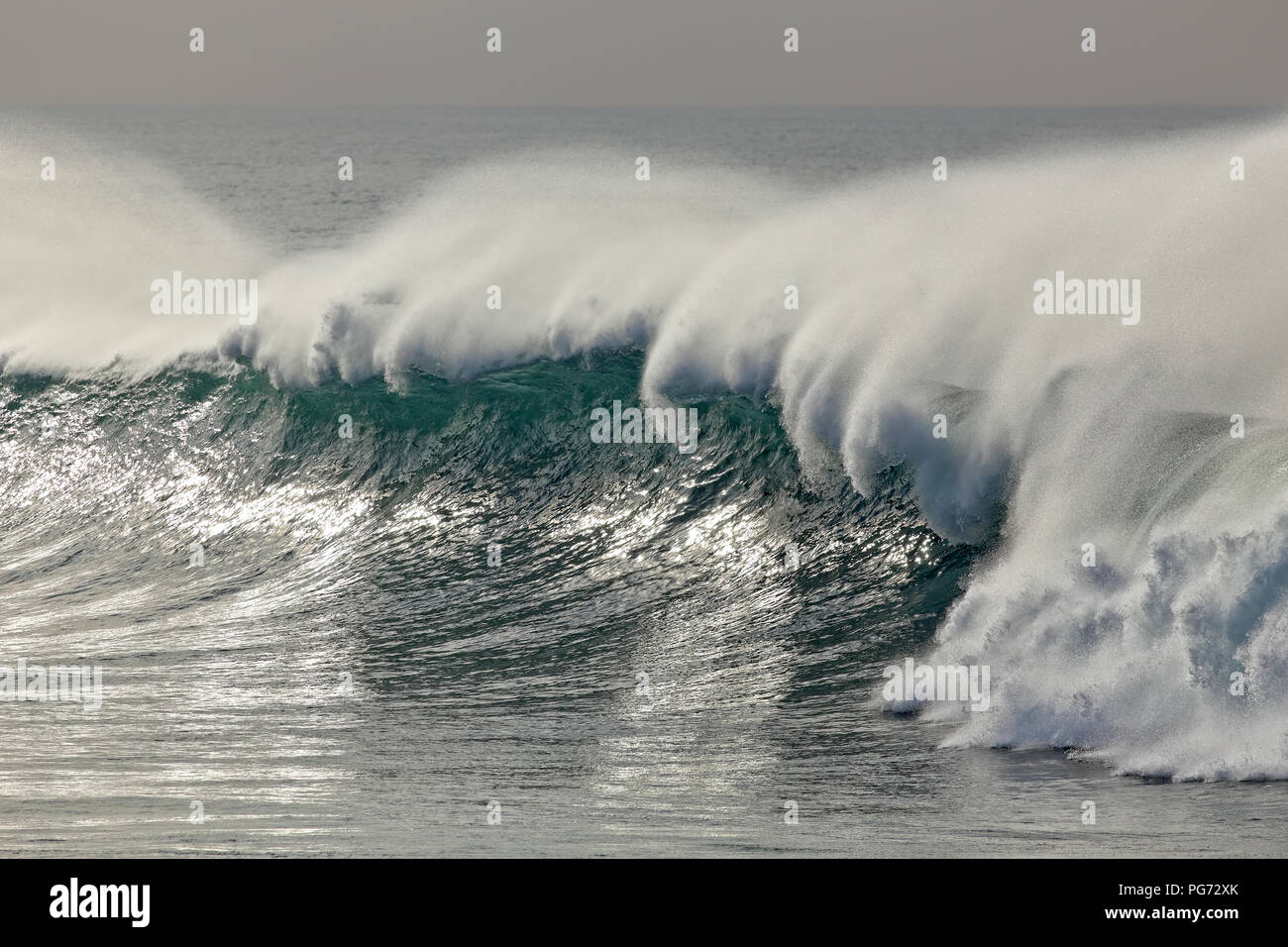 Detailed sunny green wave hi-res stock photography and images - Alamy