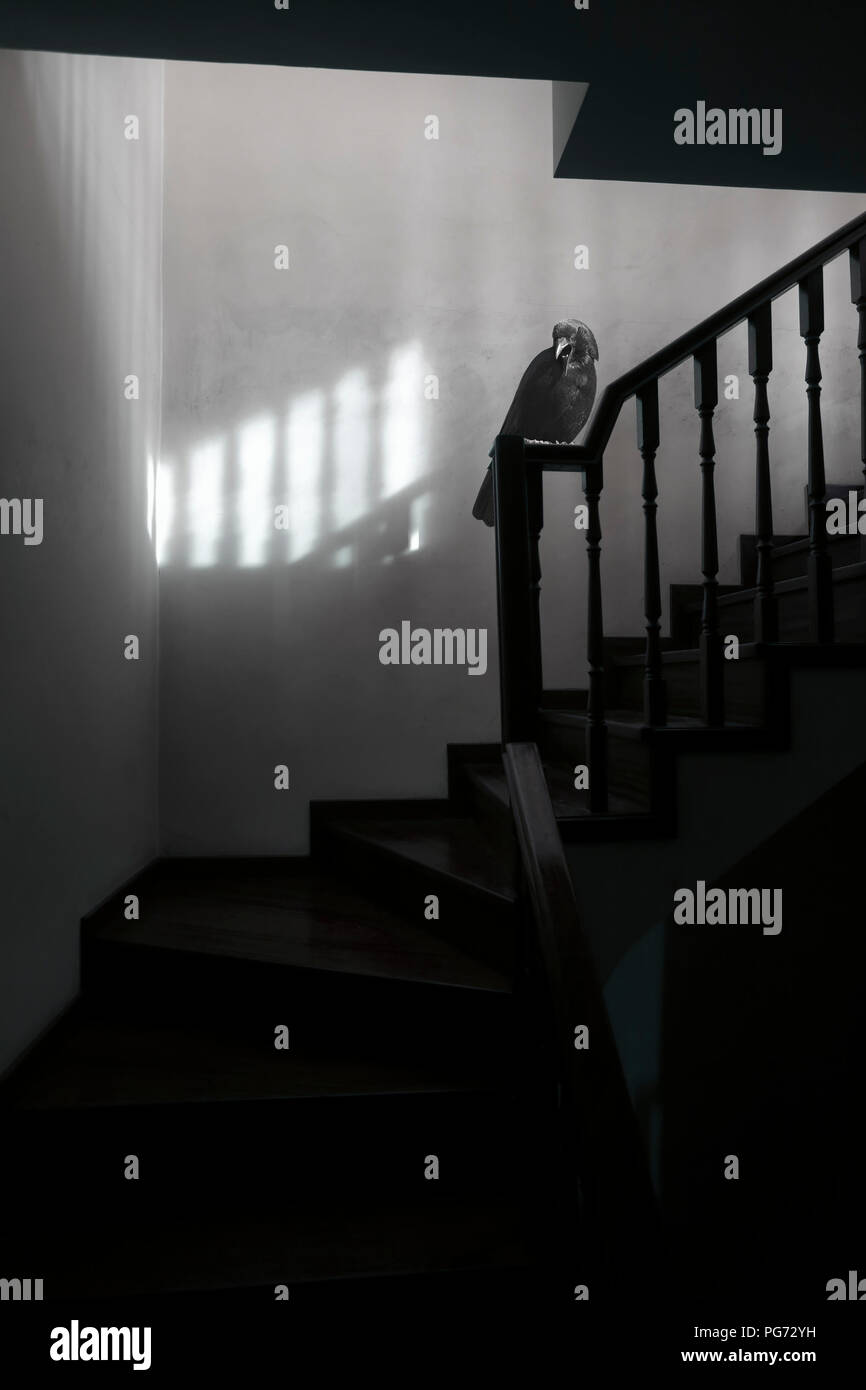 Frightening and surreal stairs to the attic with a crow on the handrail ...
