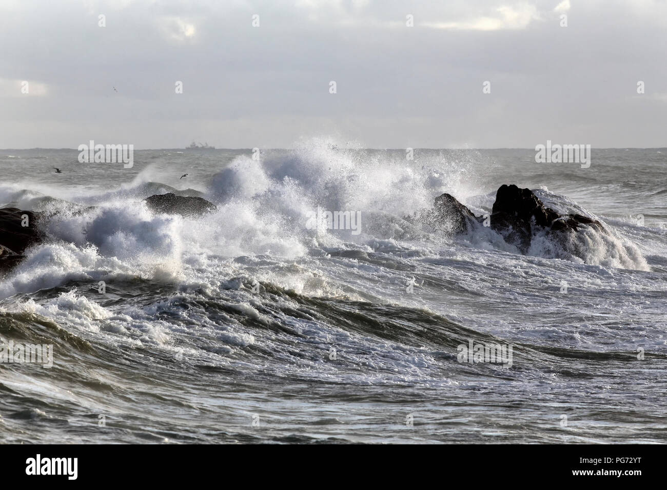 Portuguese coast rocks hit hi-res stock photography and images - Alamy