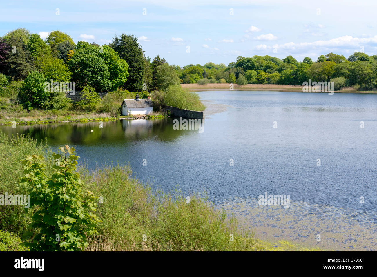 Duddingston loch hi-res stock photography and images - Alamy