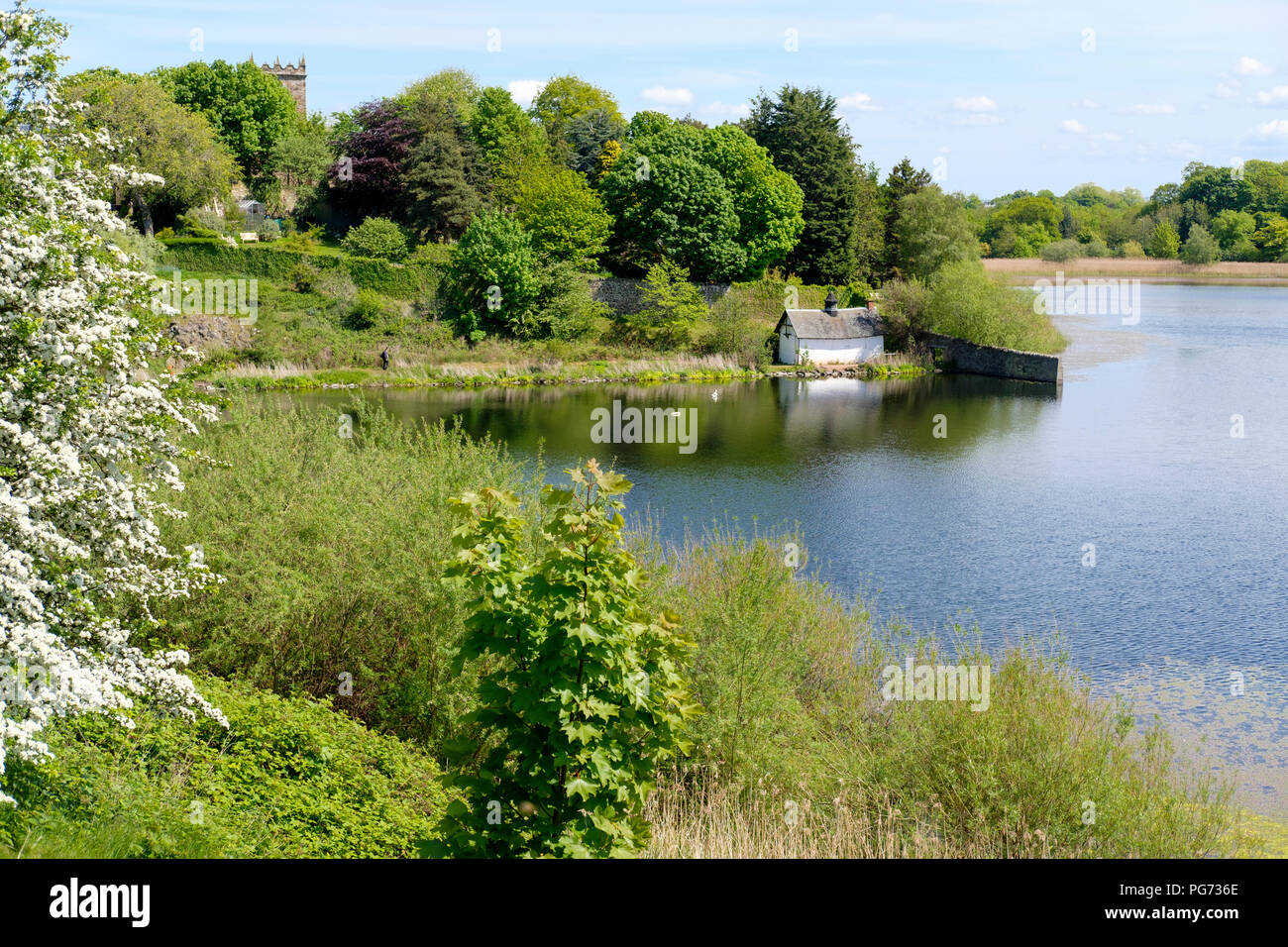 Duddingston loch hi-res stock photography and images - Alamy