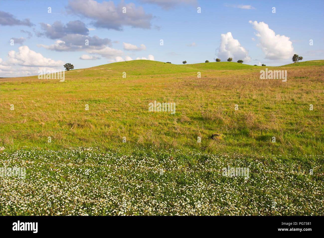 Landscape alentejo portugal sunset green hi-res stock photography and ...