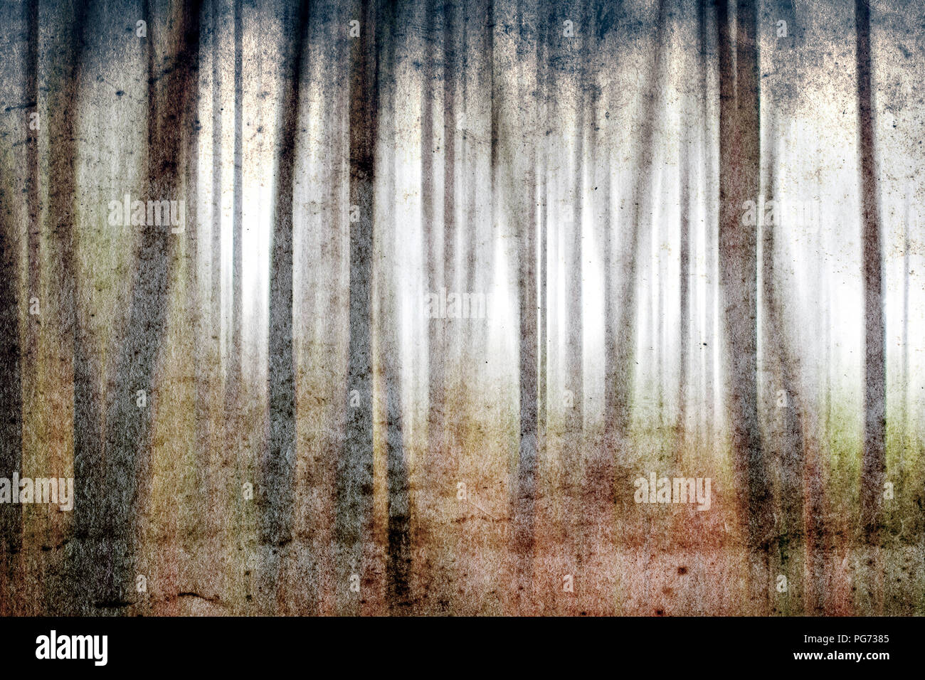 Misty forest grunge background; my own artistic view Stock Photo - Alamy