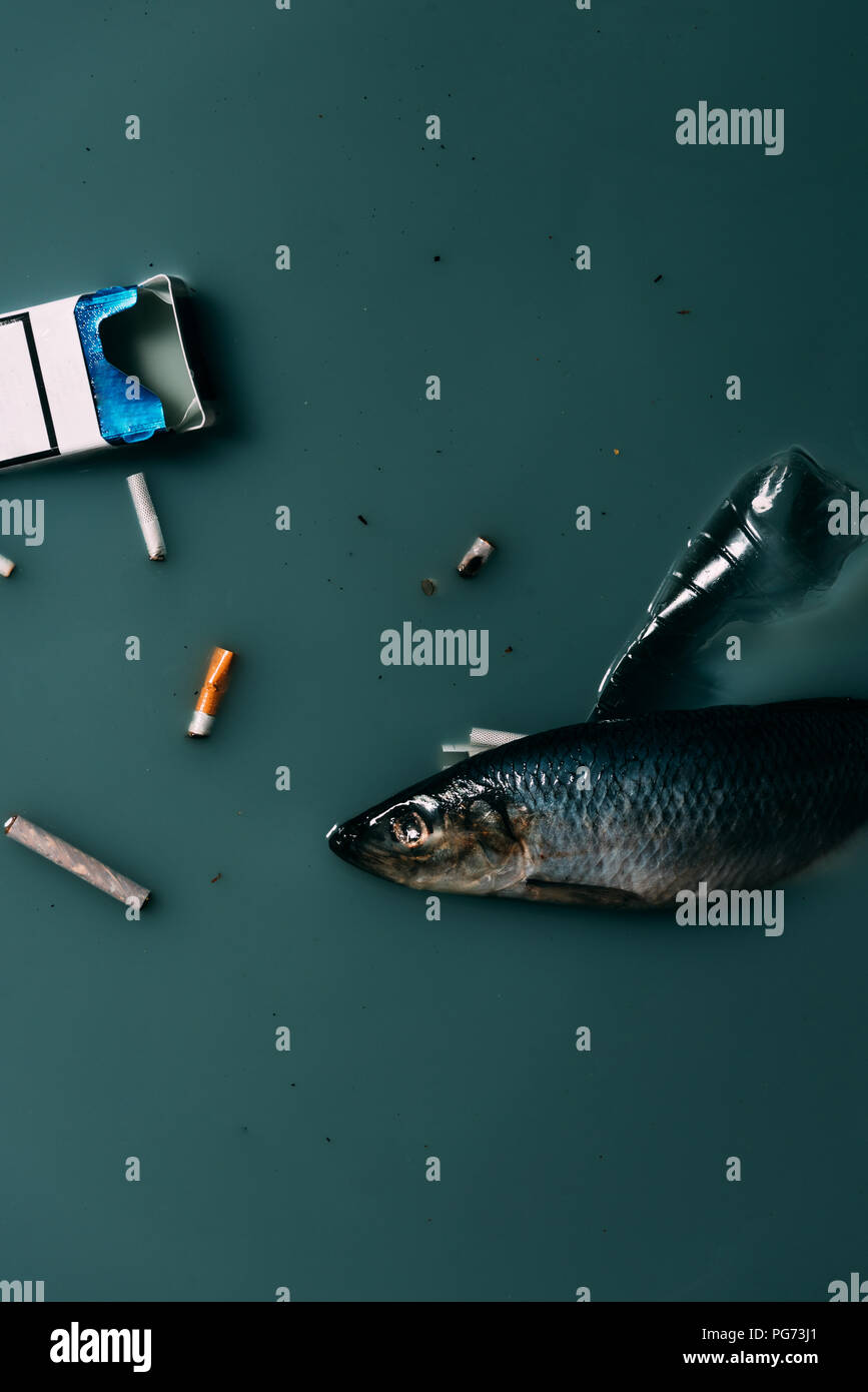 top view of fish, plastic bottle and cigarettes flowing in water ...