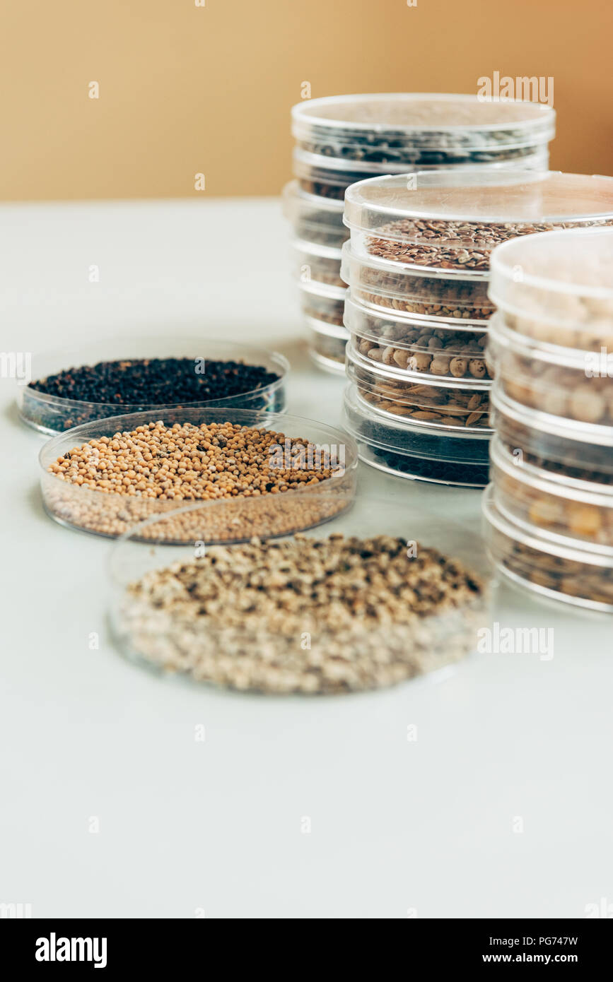 close up view of various seeds in plastic containers in modern agro ...