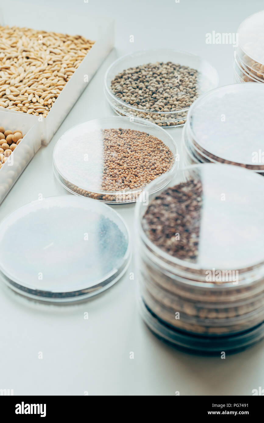 Plastic food containers seeds hi-res stock photography and images - Alamy