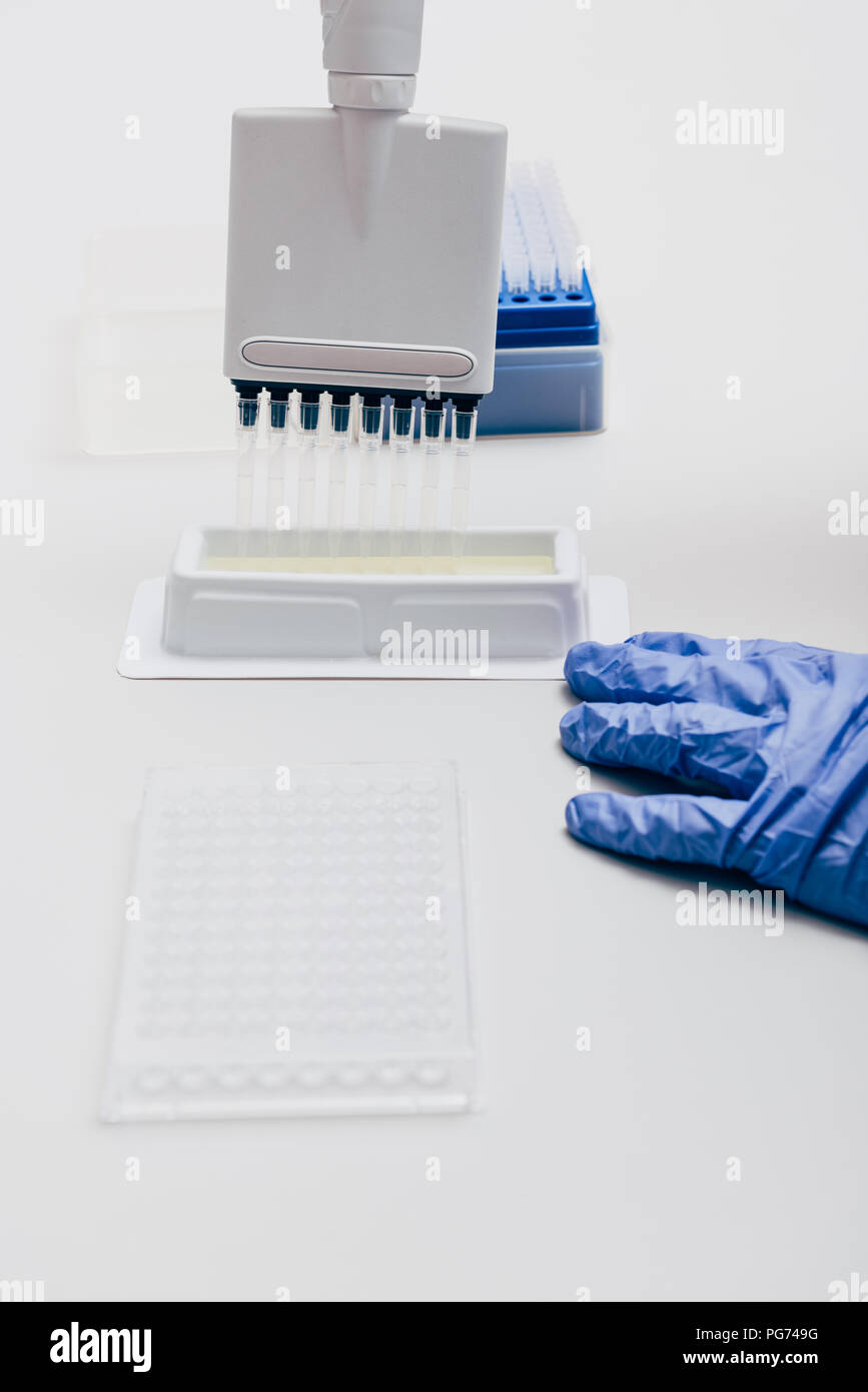 cropped image of scientist using multichannel pipette at working table ...