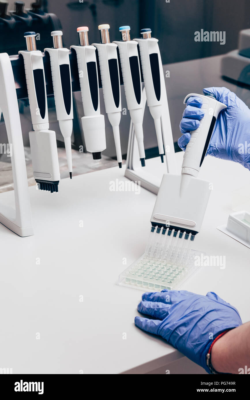 partial view of scientist using multichannel pipette at working table ...