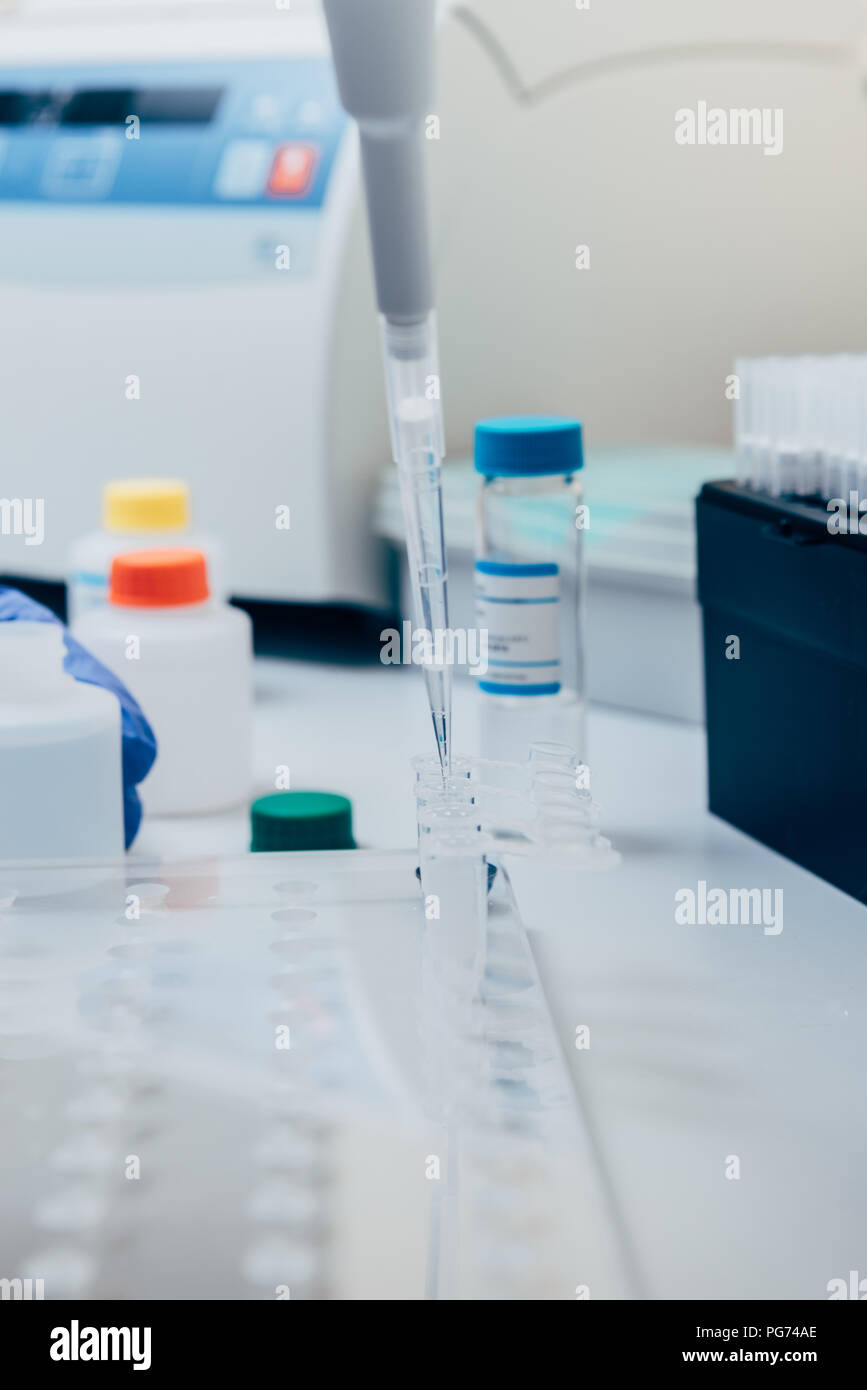 selective focus of pipette in modern biotechnology laboratory Stock ...