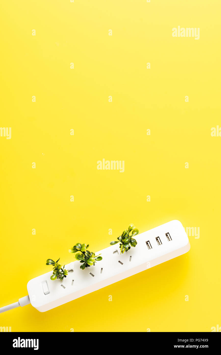 top view of socket outlet with green twigs on yellow background ...