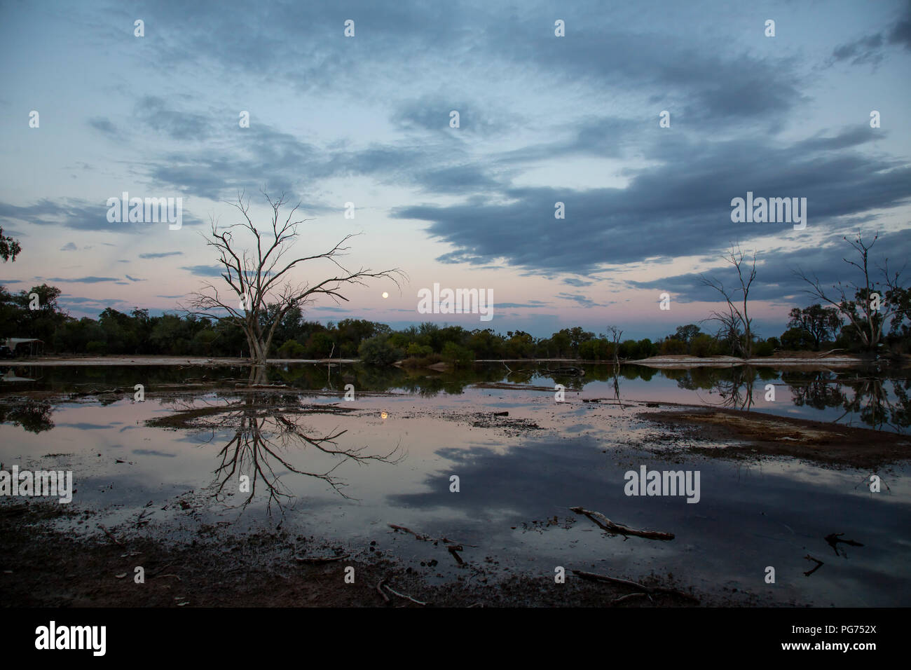 Lake, dead tree and reflections at sunset in the Australian outback ...