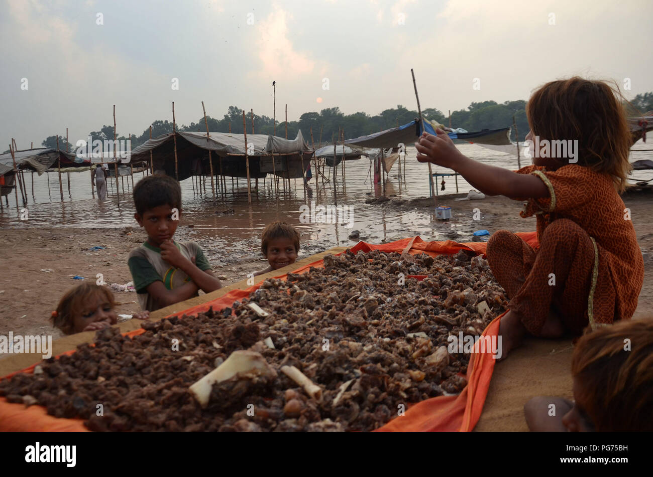Lahore, Pakistan. 23rd Aug, 2018. Pakistani gypsy people spread salted ...