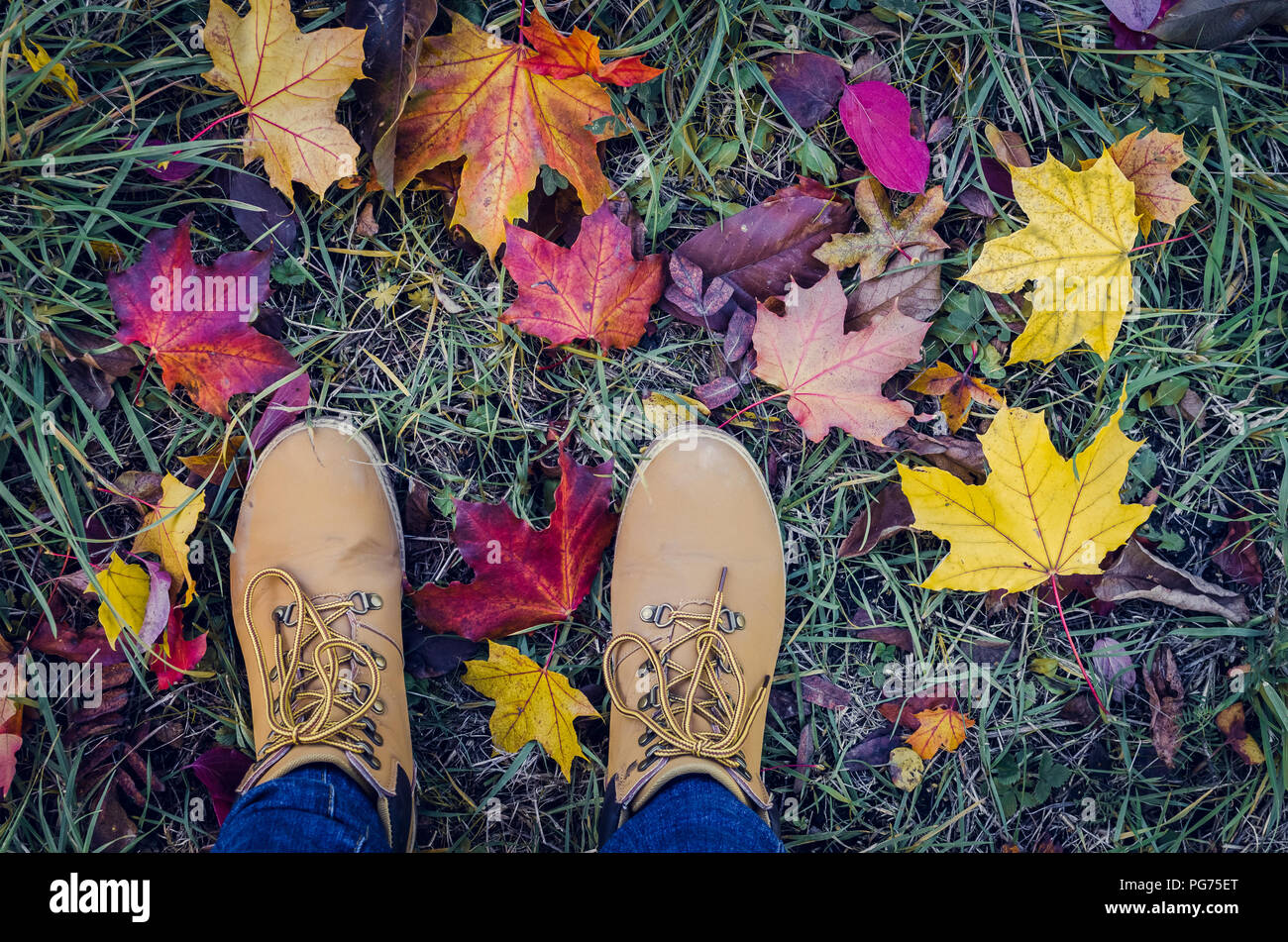 Casual unisex boots with colorful autumn fallen leaves. Autumn fall ...