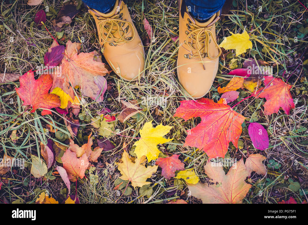 Autum girl feet hi-res stock photography and images - Alamy
