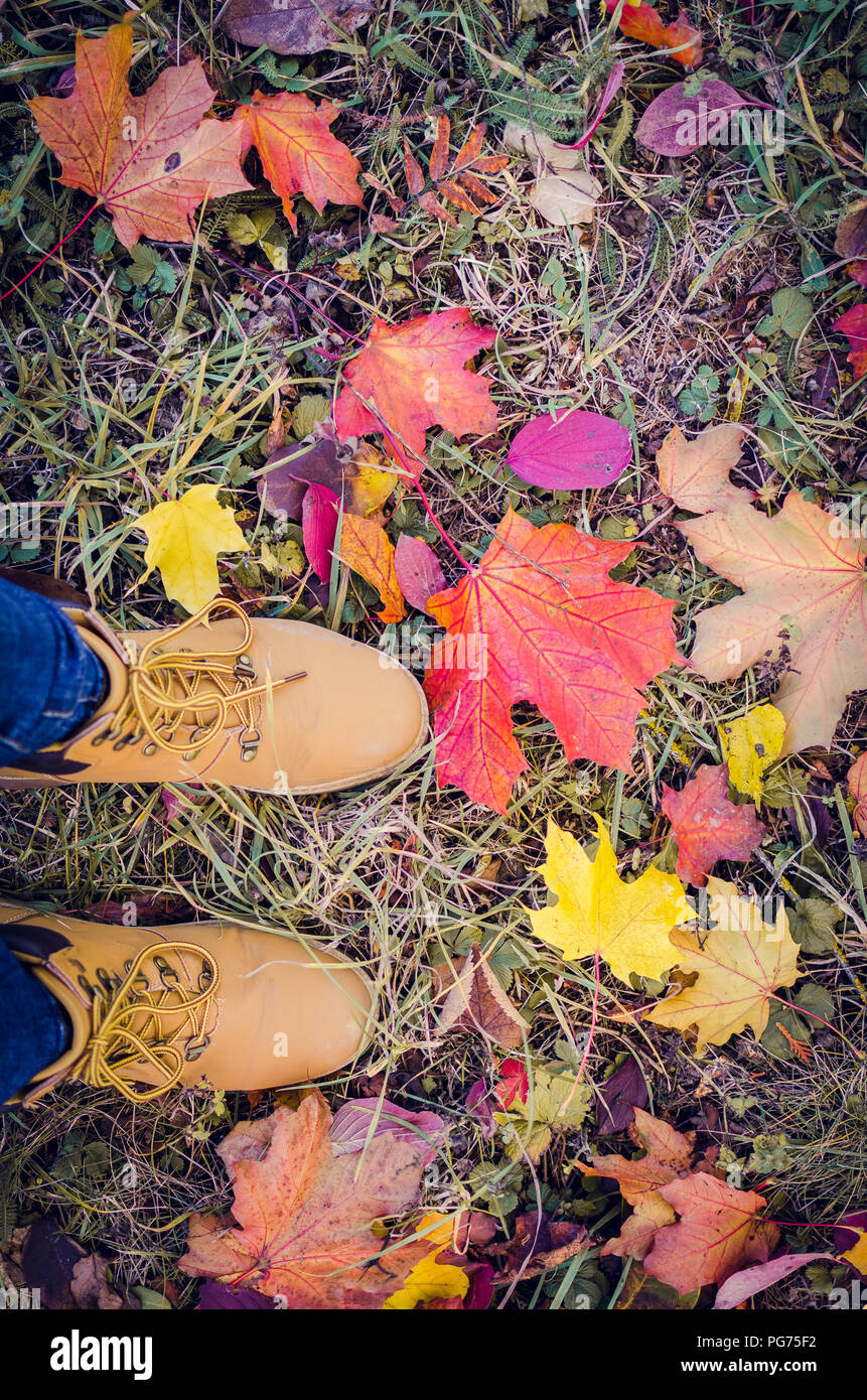 Casual unisex boots with colorful autumn fallen leaves. Autumn fall ...