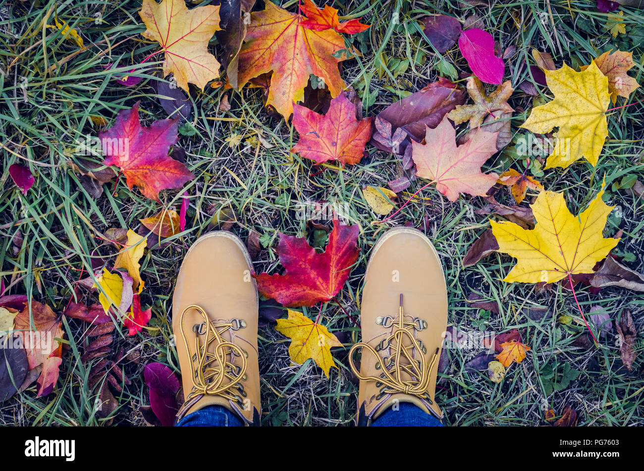 Casual unisex boots with colorful autumn fallen leaves. Autumn fall ...