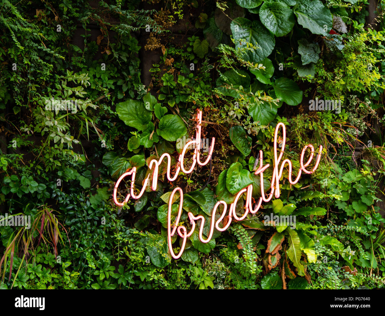Breathe easy hi-res stock photography and images - Alamy