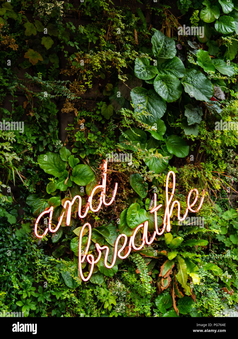 Breathe easy hi-res stock photography and images - Alamy