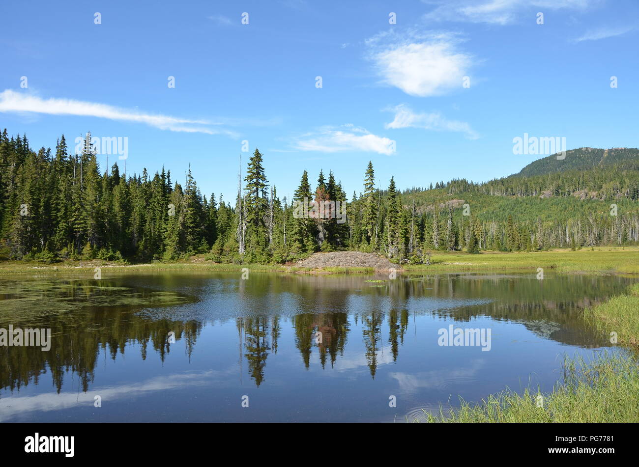 Strathcona provincial park hi-res stock photography and images - Alamy