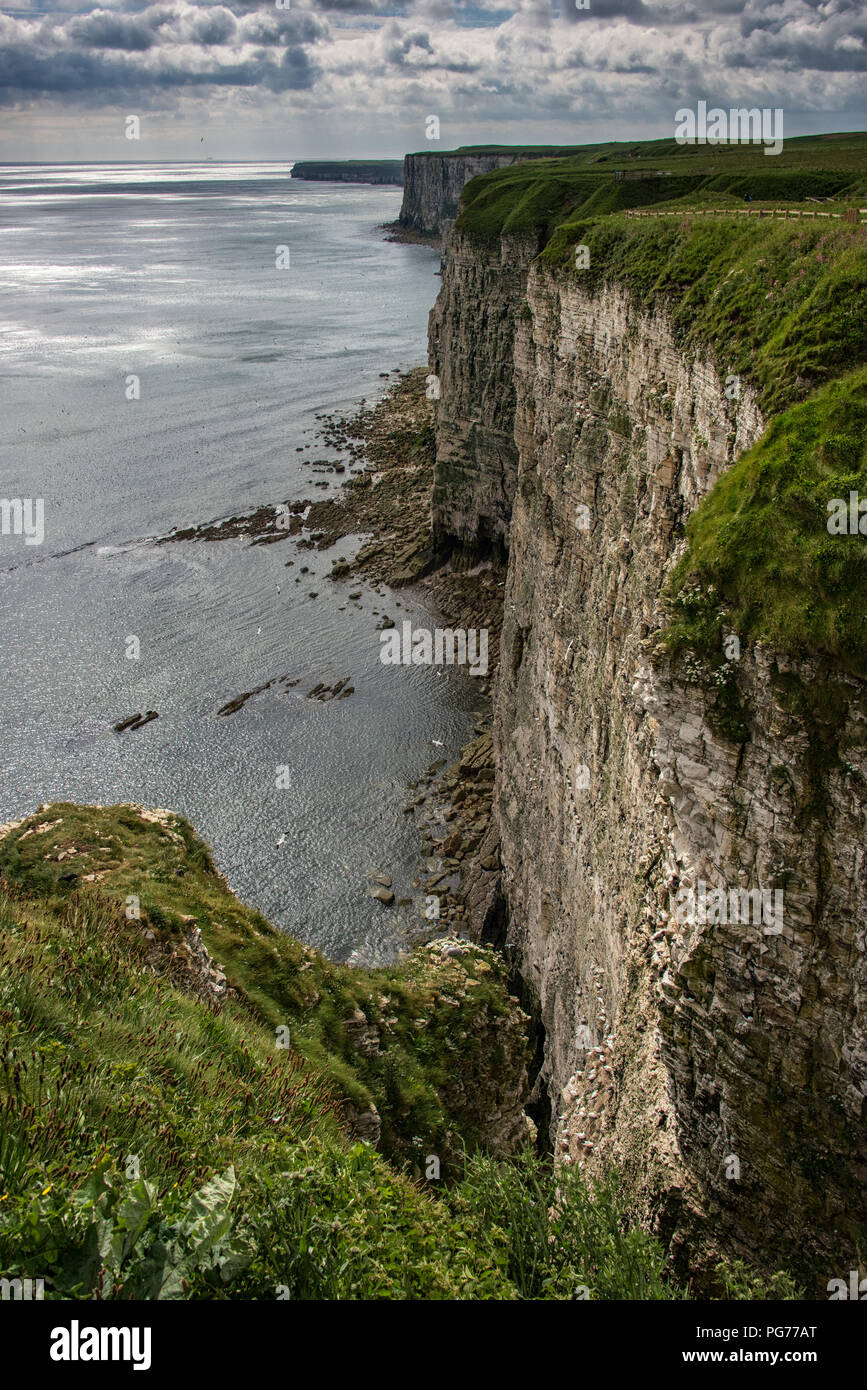 Bempton Cliffs in Stormy Light, North Yorkshire Stock Photo - Alamy