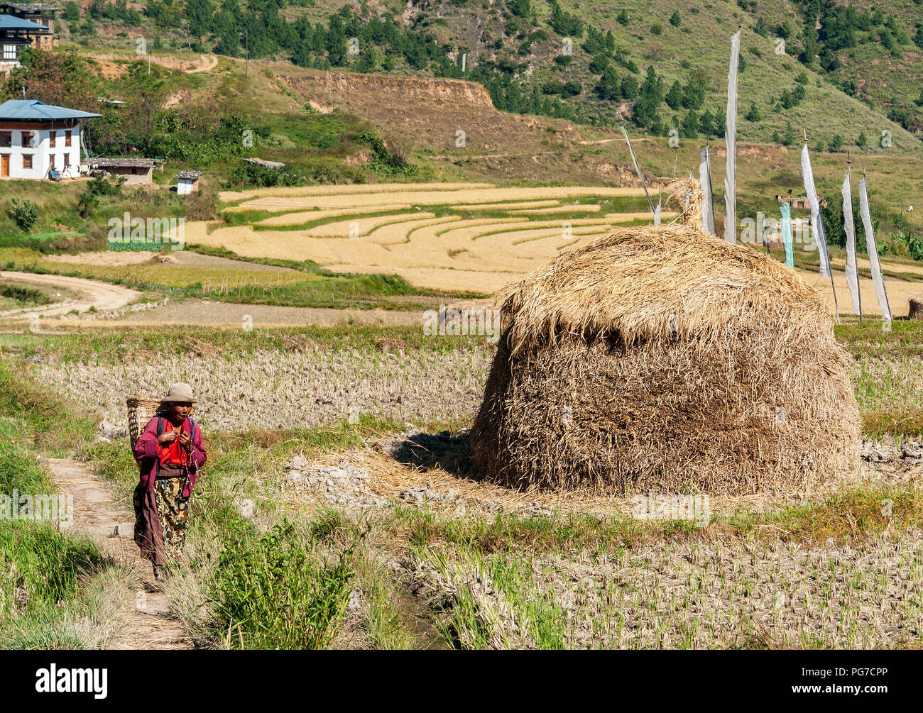 Bhutan landscape scenery hi-res stock photography and images - Alamy